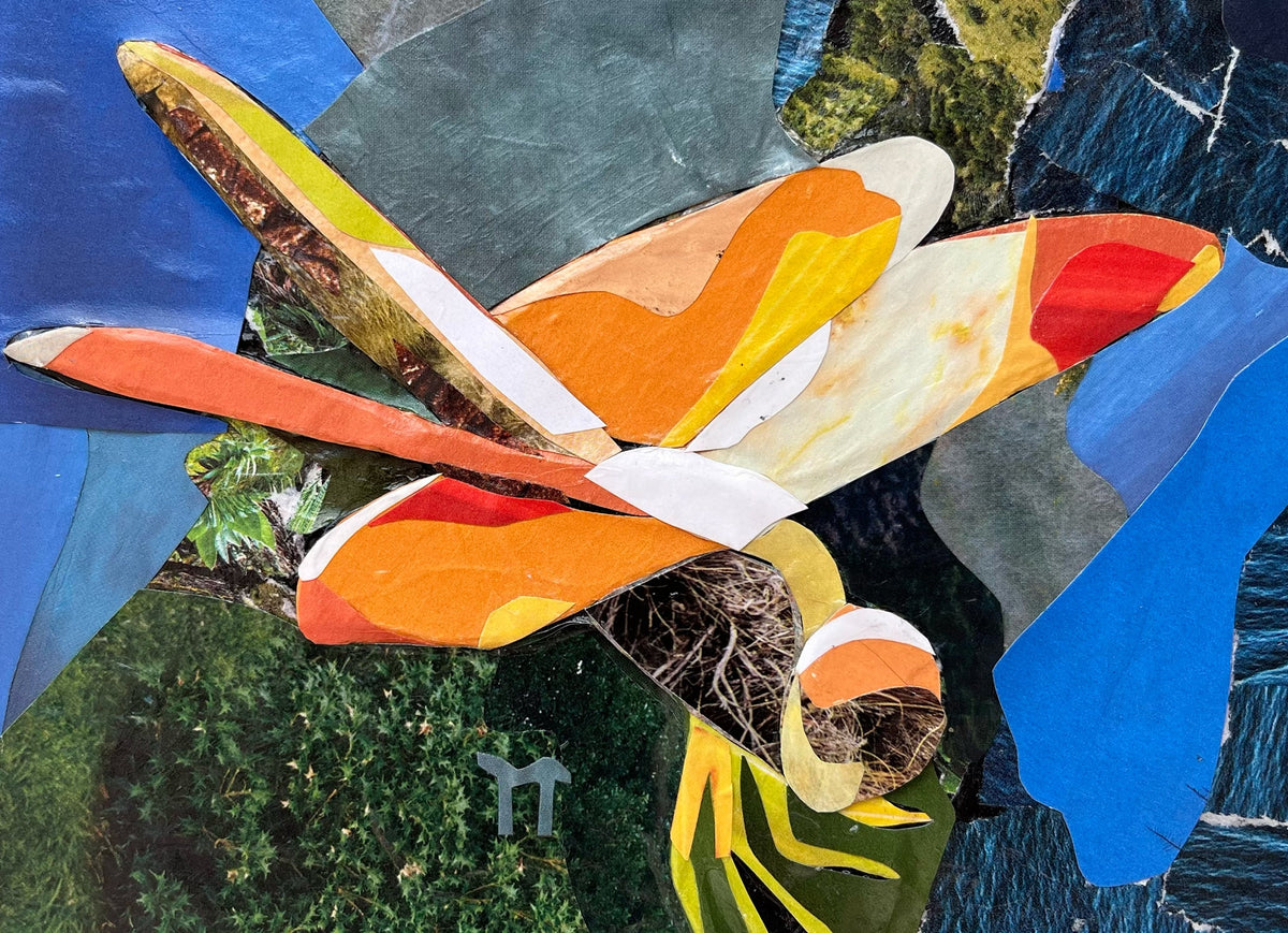 Dragonfly – Pi Luna Art
